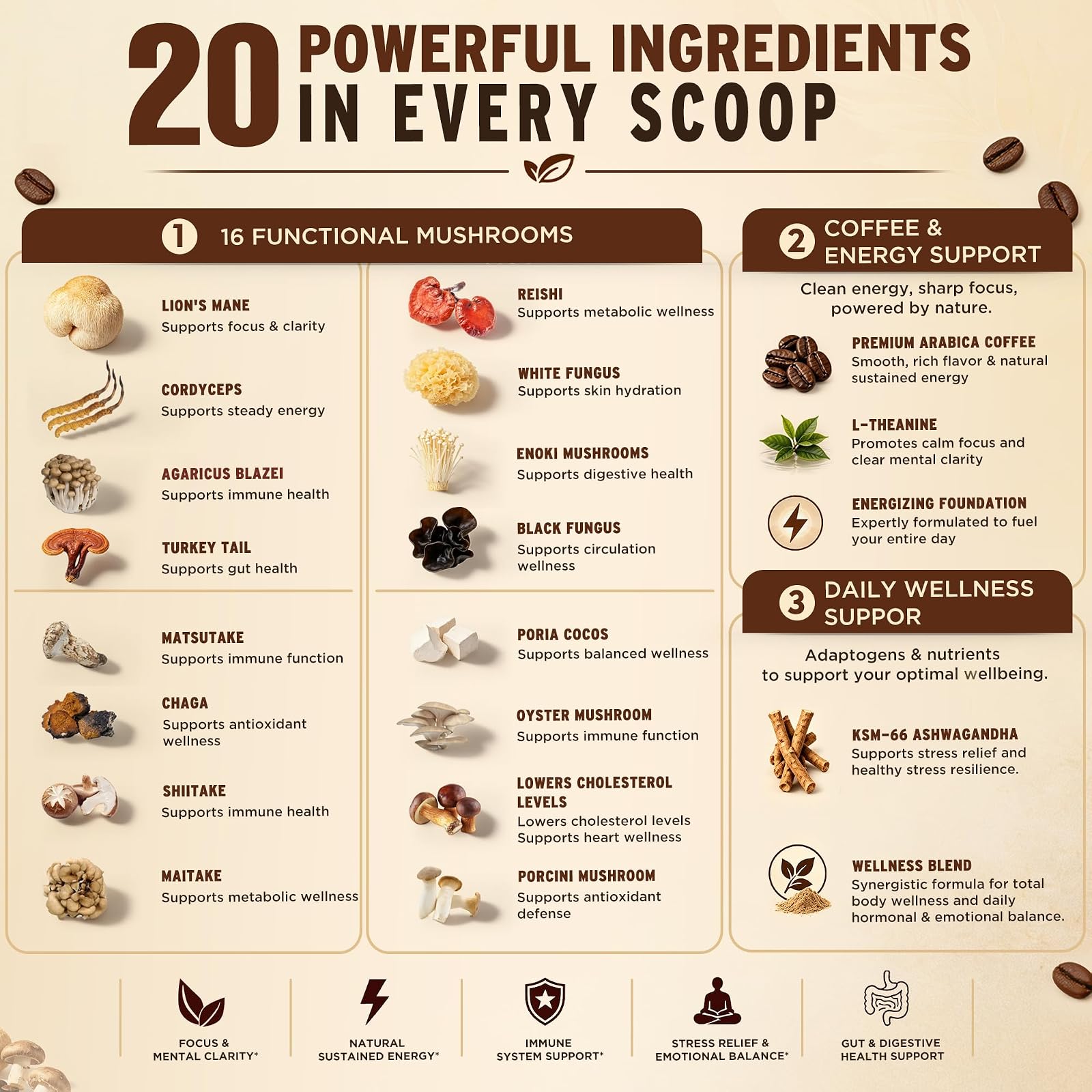 Organic mushroom coffee blend benefits