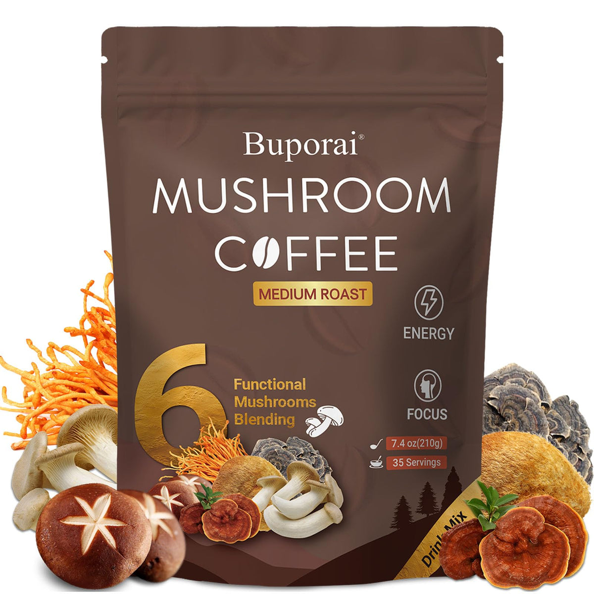 organic mushroom coffee blend