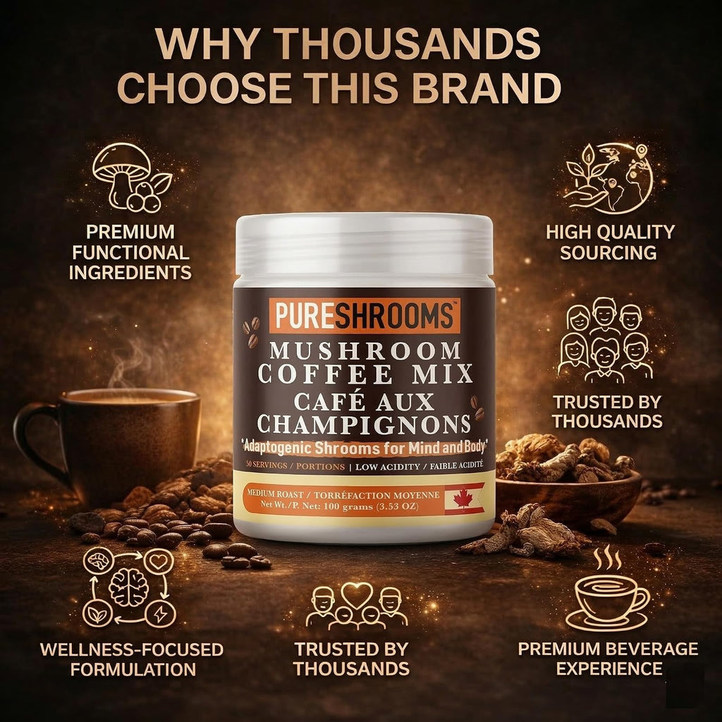 organic mushroom coffee for daily boost