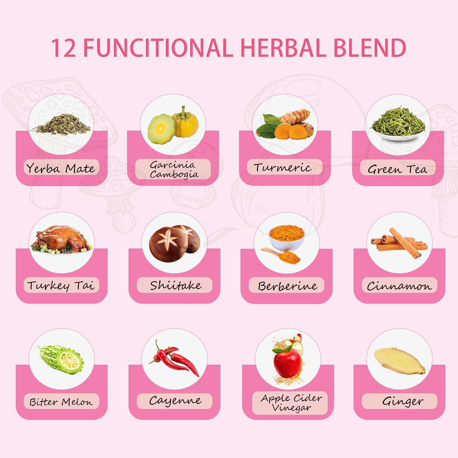 organic mushroom coffee for daily health