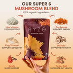 organic mushroom coffee for energy