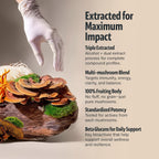 organic mushroom complex for vitality