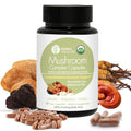 organic mushroom complex supplement