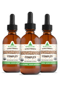 organic mushroom complex tincture benefits