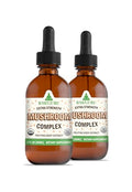organic mushroom complex tincture benefits