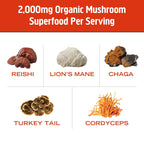 organic mushroom drink mix for vitality