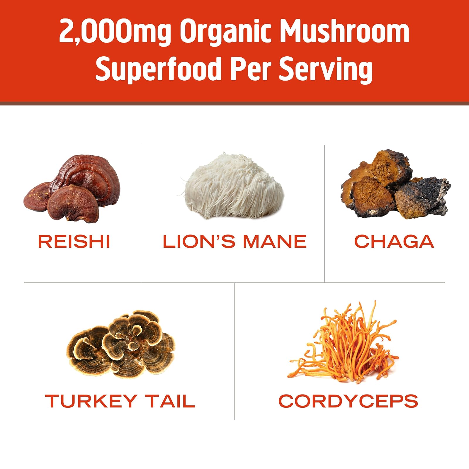 organic mushroom drink mix for vitality