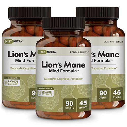 Organic mushroom extract for brain health