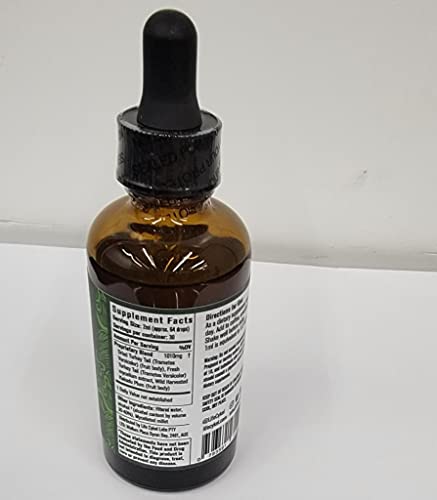 organic mushroom extract for daily use