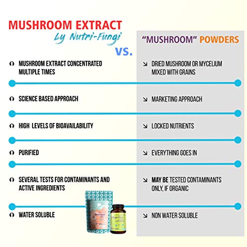 organic mushroom extract for focus