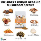 organic mushroom extract for immunity