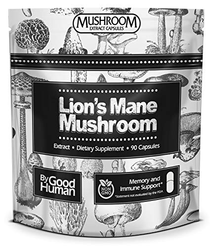 Organic mushroom extract for memory support