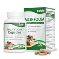 organic mushroom extract for memory