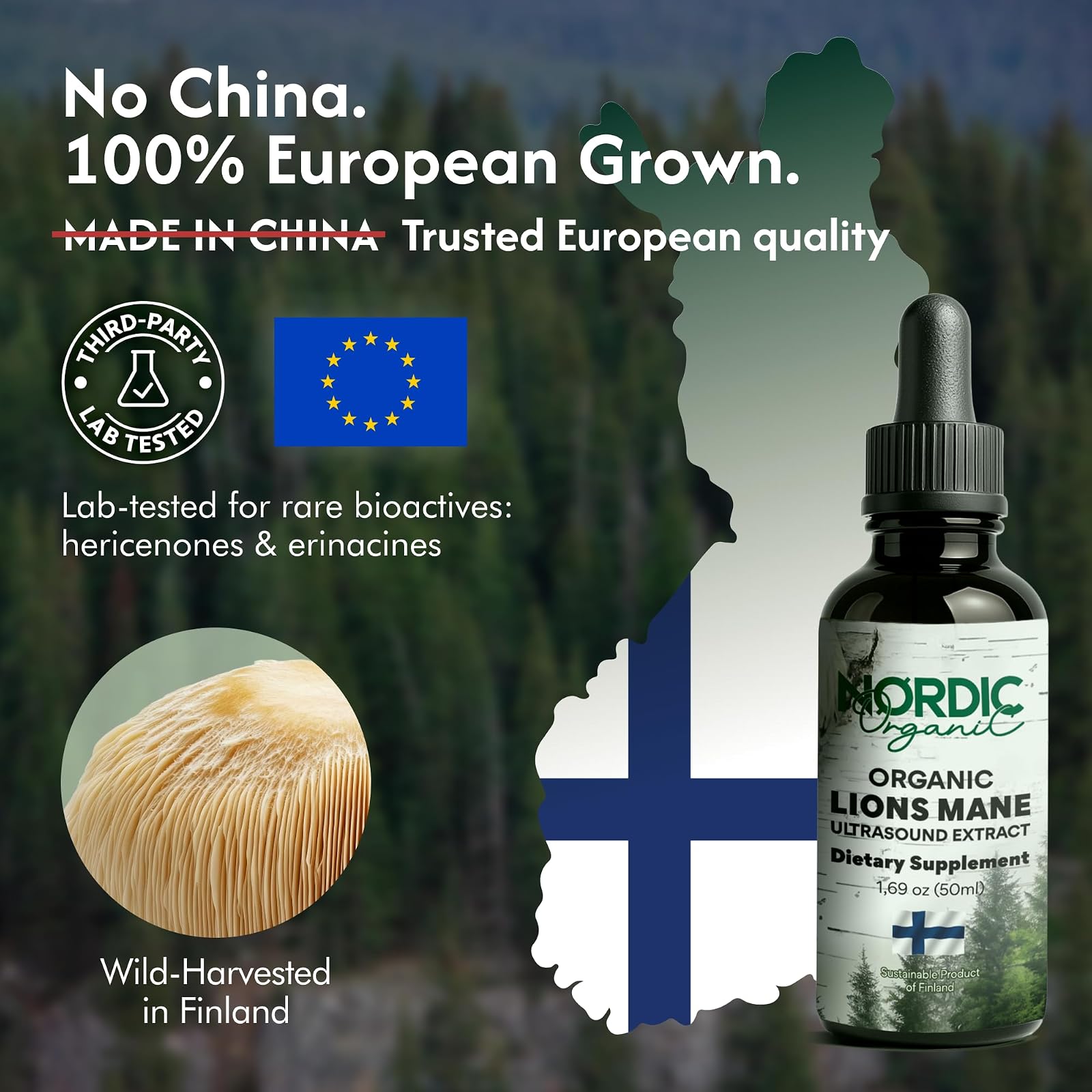 Organic mushroom extract for mental clarity