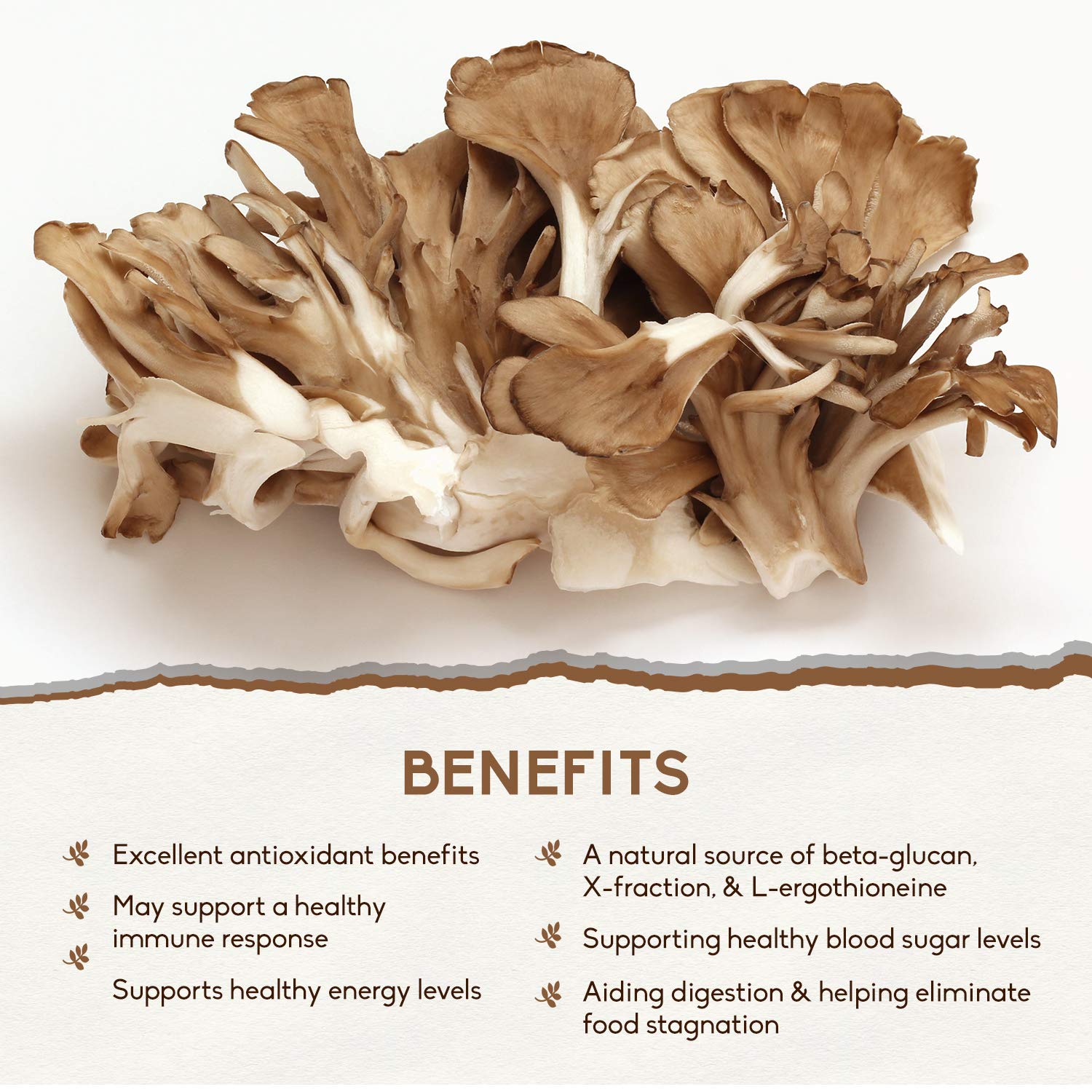 organic mushroom extract for vitality