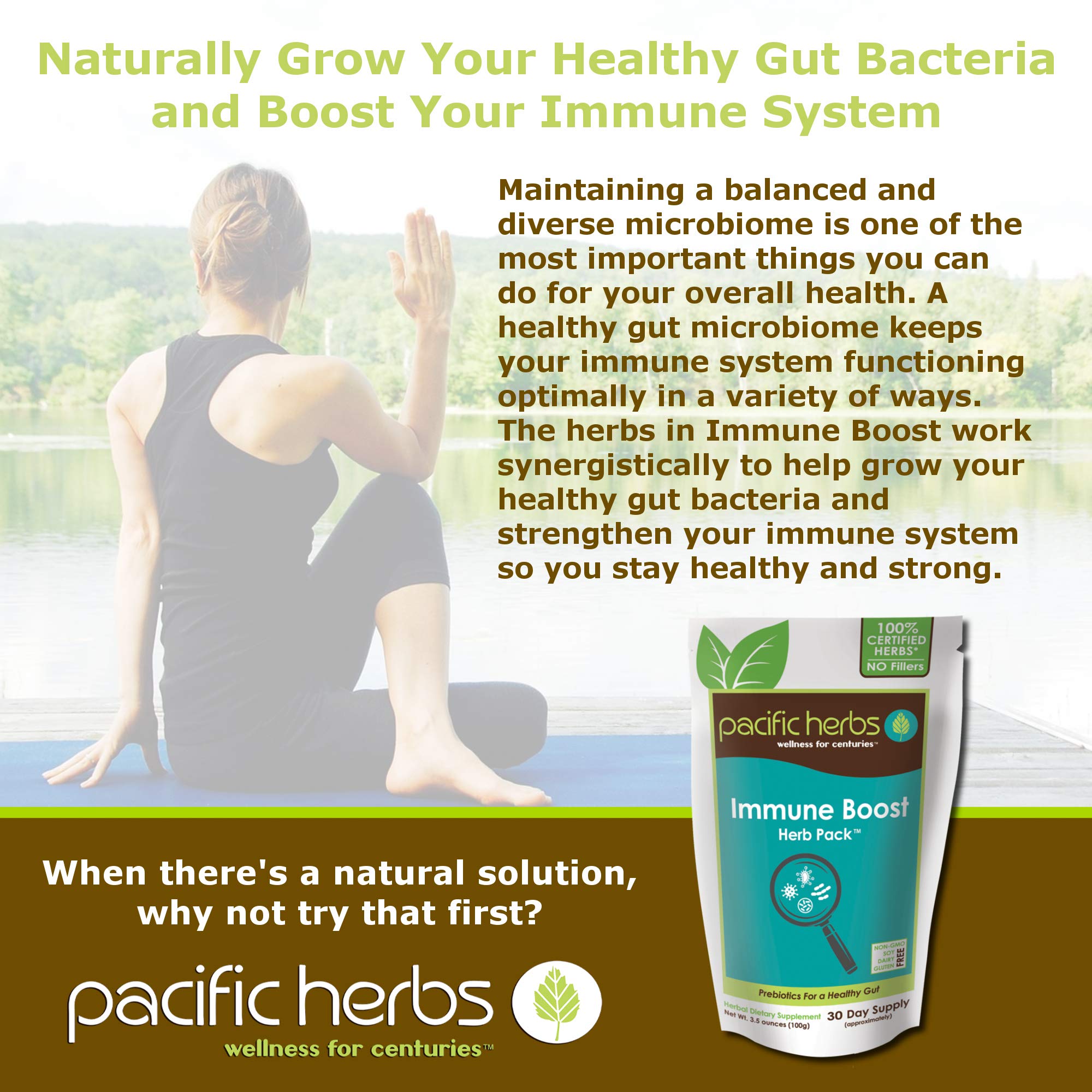 organic mushroom extract for vitality