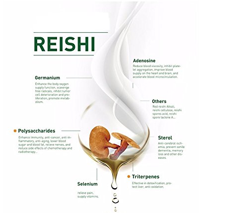 organic mushroom extract for wellness