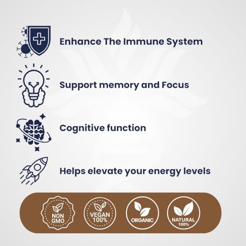 Organic mushroom extract for wellness