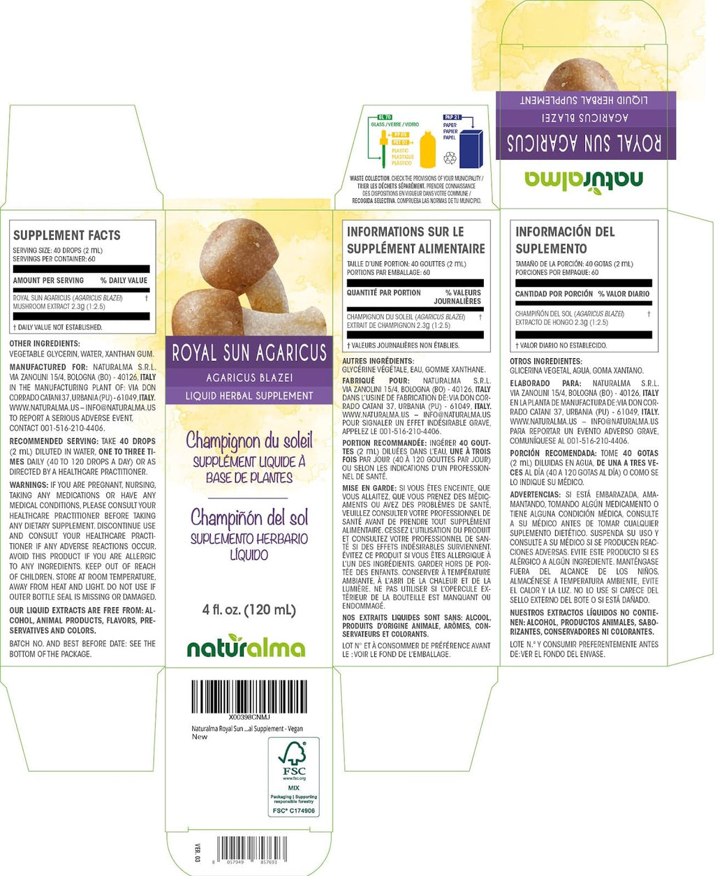 Organic mushroom extract for wellness