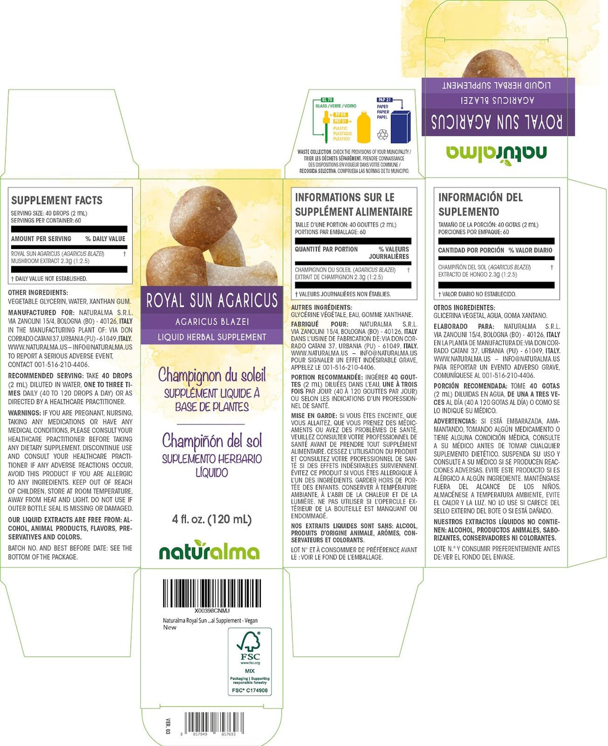 Organic mushroom extract for wellness