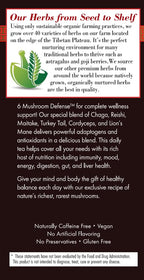 organic mushroom herbal tea