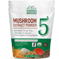 organic mushroom powder for brain focus