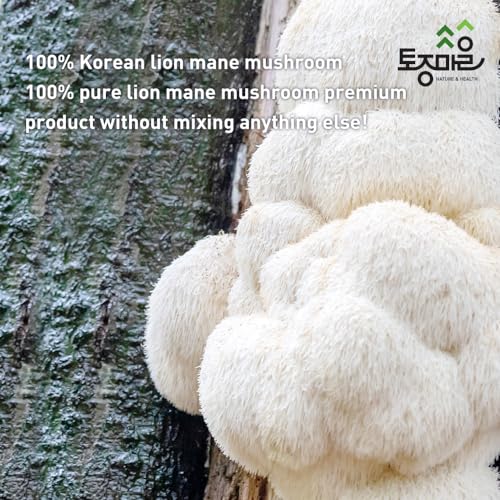 Organic mushroom powder for cooking