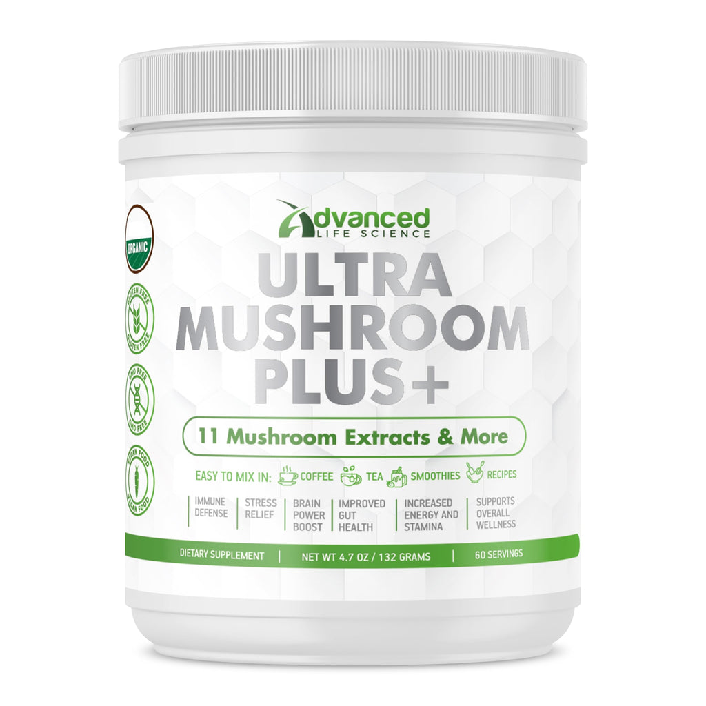 organic mushroom powder for energy
