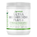 organic mushroom powder for energy