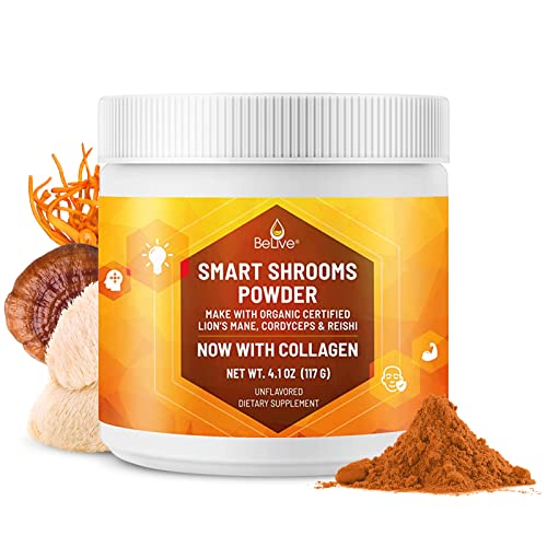 Organic mushroom powder for focus