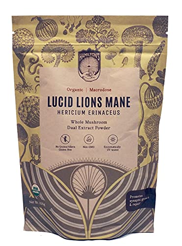 organic mushroom powder for focus
