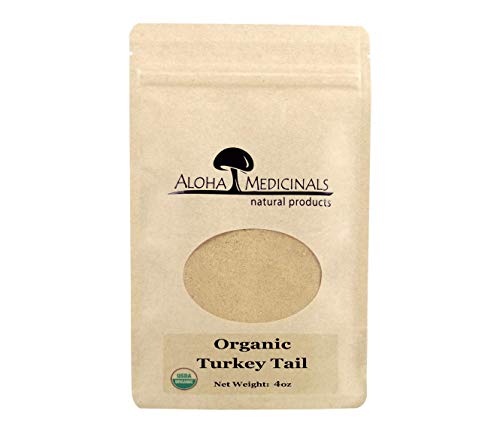 organic mushroom powder for health