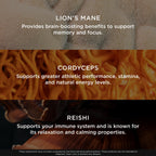 organic mushroom powder for immune support