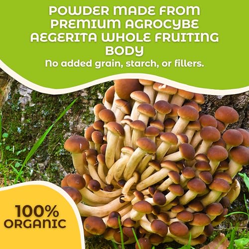 organic mushroom powder for recipes