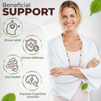 organic mushroom powder for smoothies
