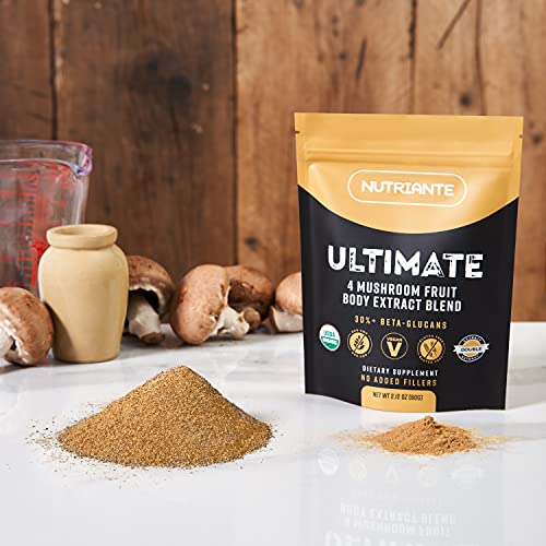 Organic mushroom powder for smoothies