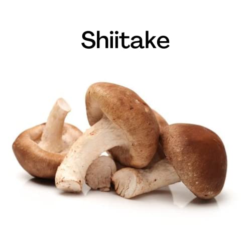 organic mushroom powder for smoothies