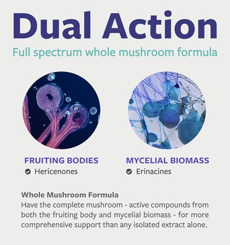 Organic mushroom powder for wellness