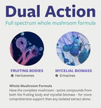 Organic mushroom powder for wellness