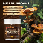 organic mushroom powder for wellness