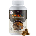 organic mushroom supplement capsules