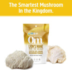 Organic mushroom supplement for brain health