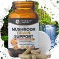 organic mushroom supplement for brain health