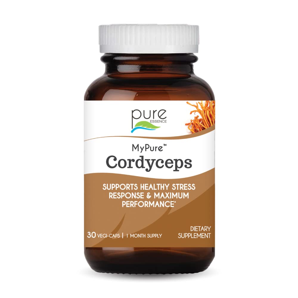 organic mushroom supplement for energy