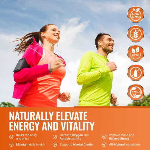 Organic mushroom supplement for energy