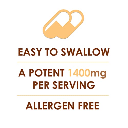 Organic mushroom supplement for health
