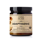 organic mushroom supplement for wellness