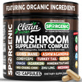 organic mushroom supplement for wellness