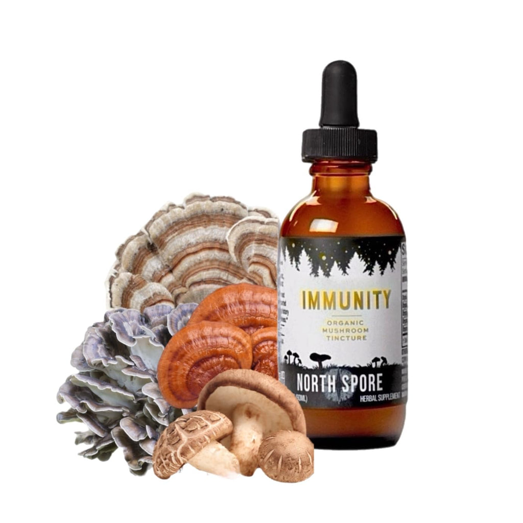 organic mushroom tincture for immunity