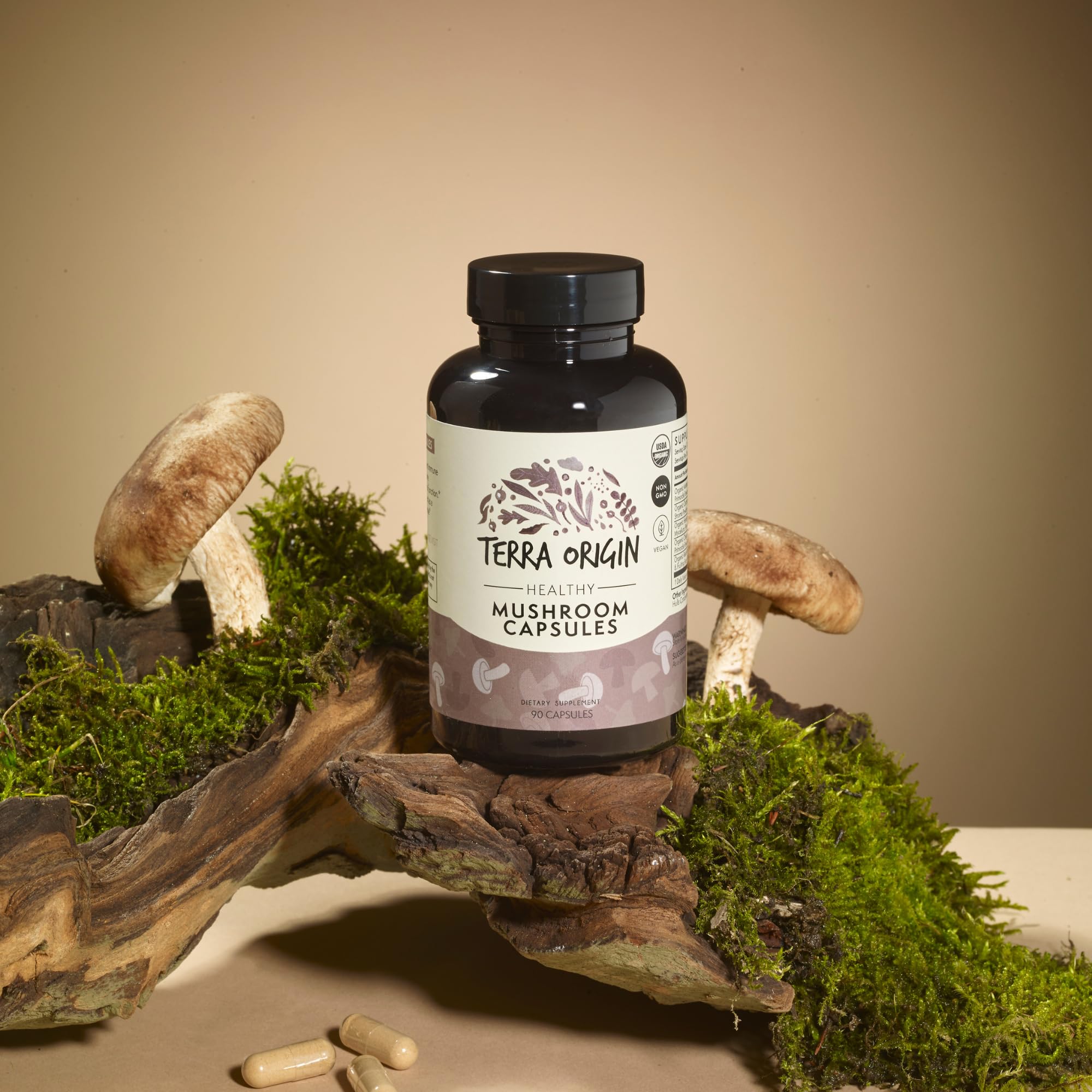 organic mushrooms for brain health